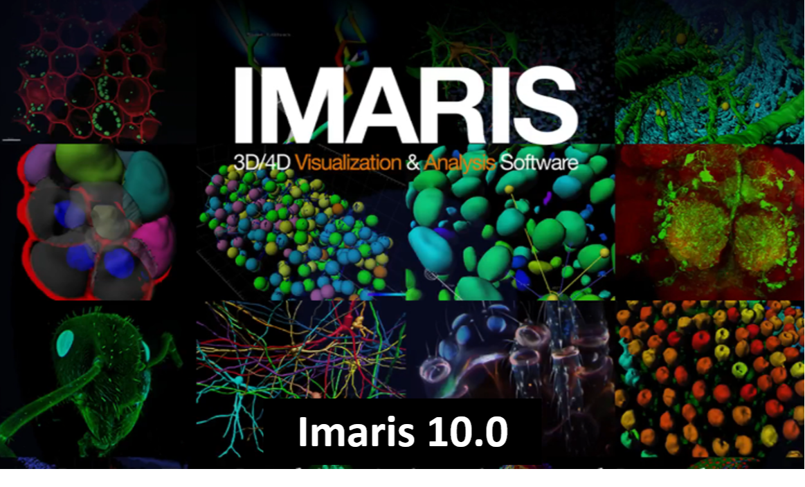 Imaris 10.0软件|瓯江实验室大型仪器共享平台